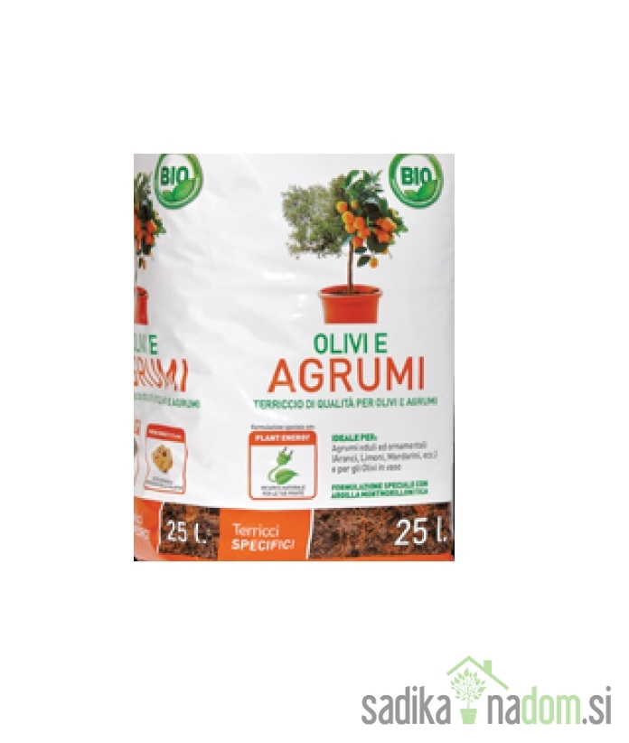 Zemlja za citruse i masline Agrolit | Sadnica u dom